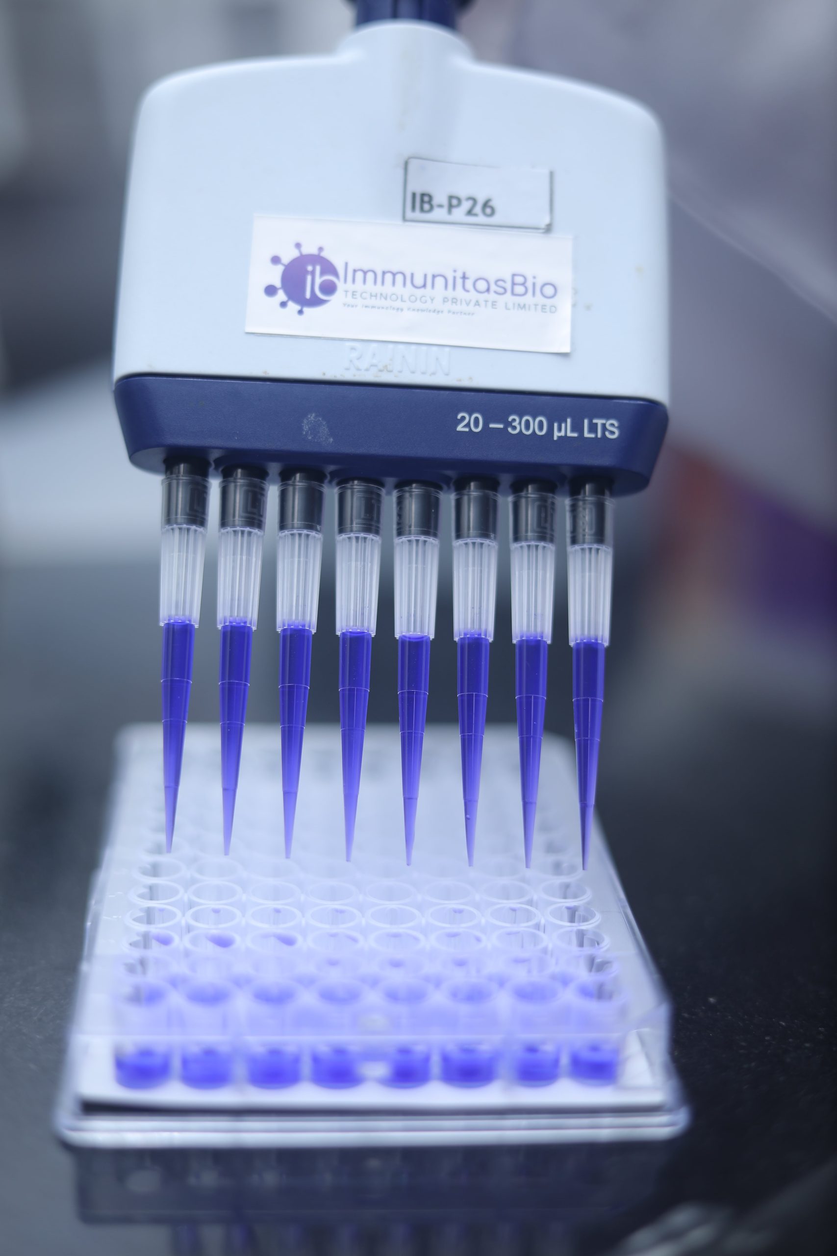 Services We Offer - Immunitas Bio