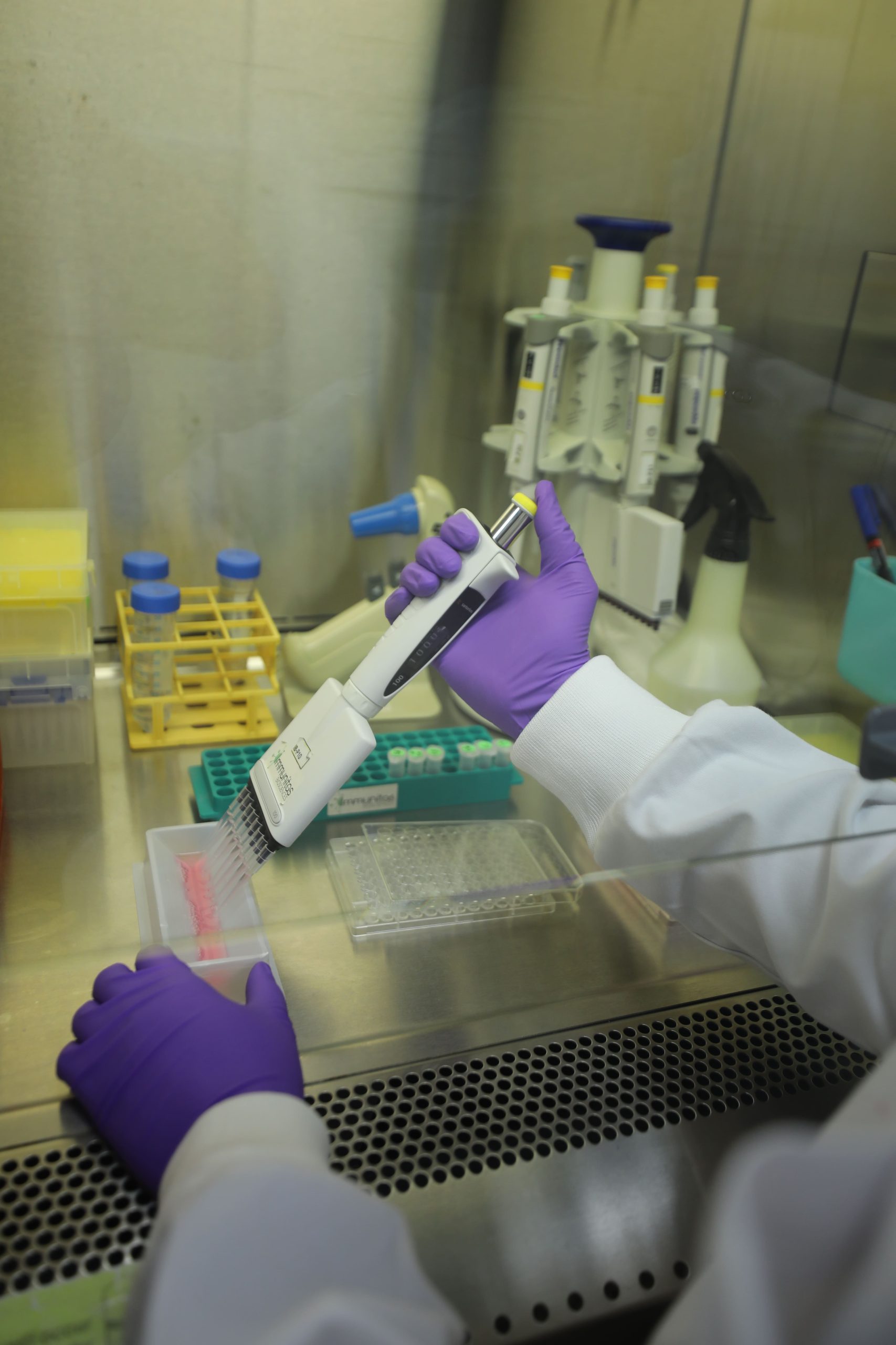 Services We Offer - Immunitas Bio