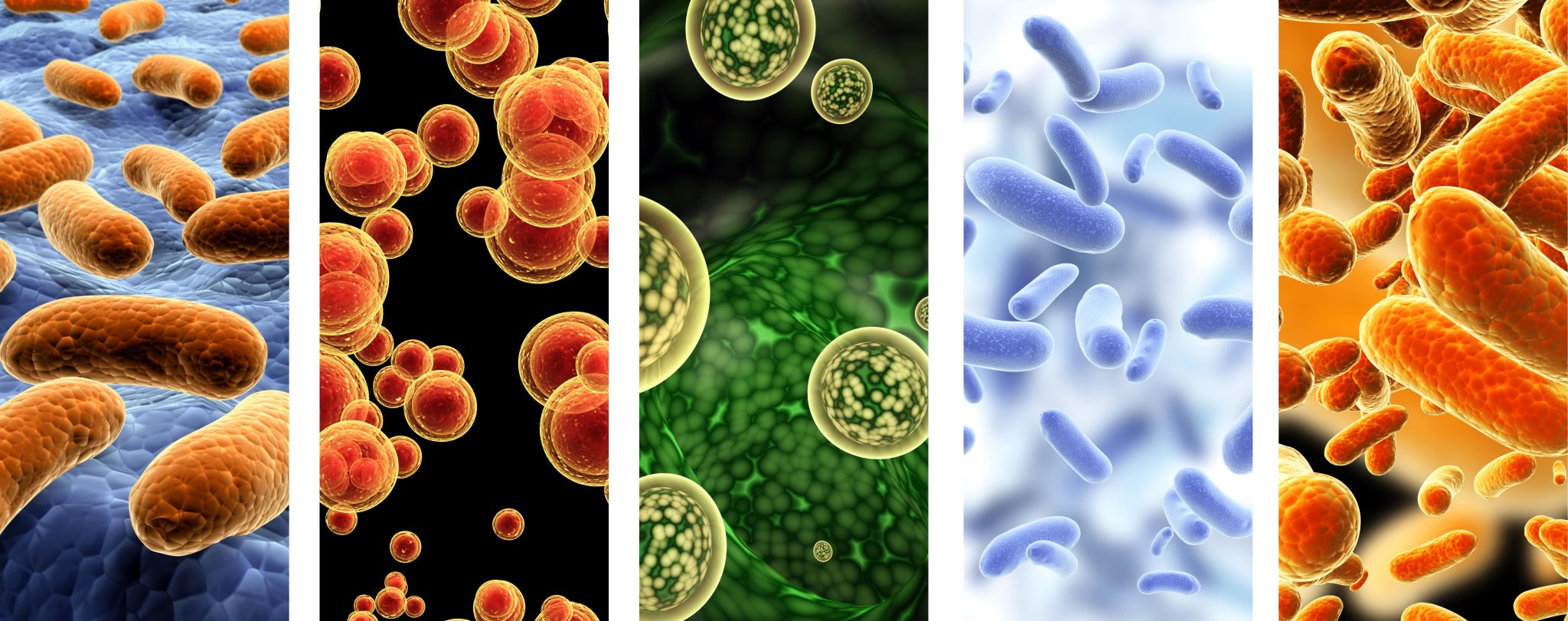 For Microbiological Testing Solutions - Immunitas Bio For Microbiological Testing Solutions - Immunitas Bio