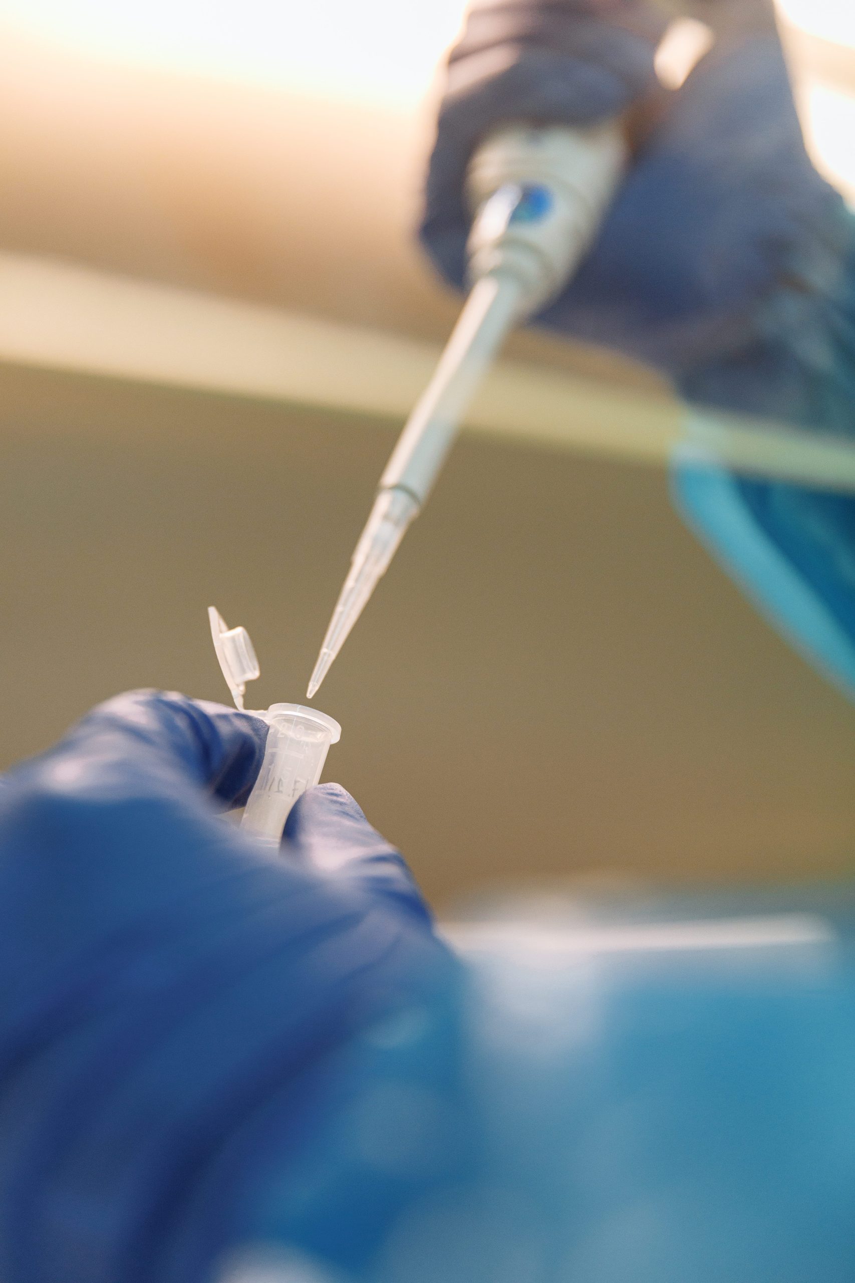 Solutions We Offer - Immunitas Bio