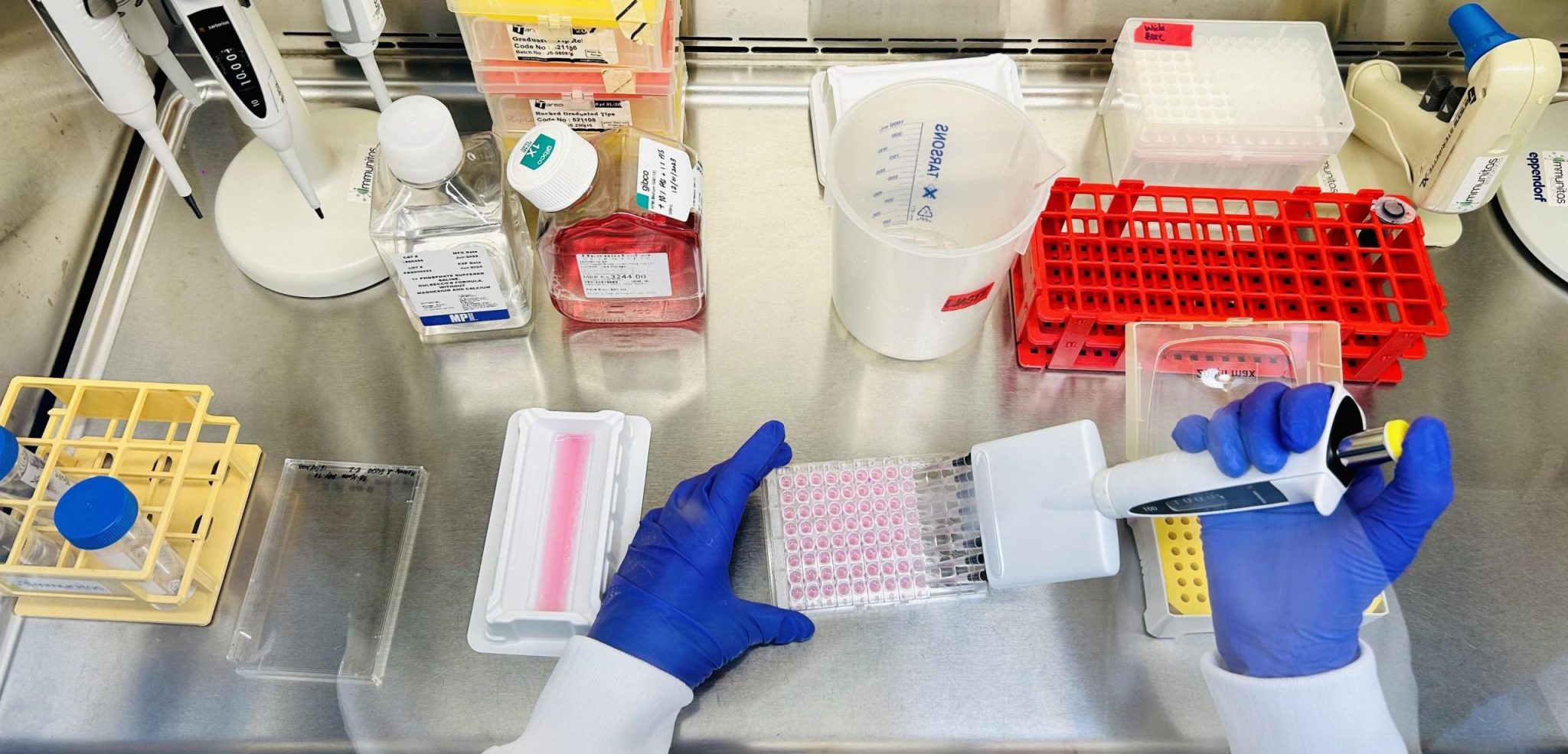 Virucidal Testing Services in Bangalore - Immunitas Bio